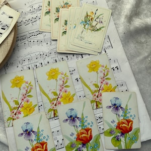 12 Assortment of Floral Playing Cards spring Colors - Etsy