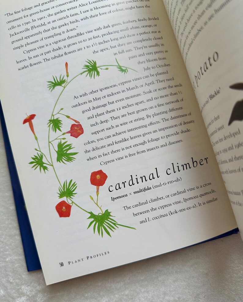The Garden Trellis: Designs to Build and Plants to Cultivate by Ferris ...