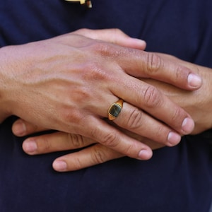 Hawk's Eye Signet Ring | Gold Vermeil and Sterling Silver - Etsy