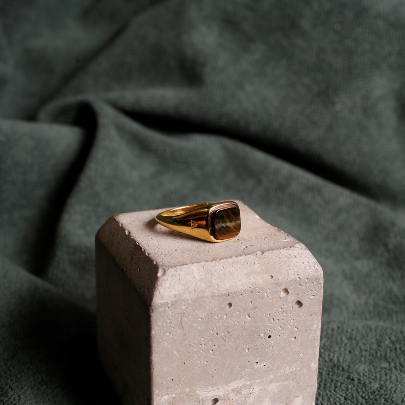Hawk's Eye Signet Ring | Gold Vermeil and Sterling Silver - Etsy
