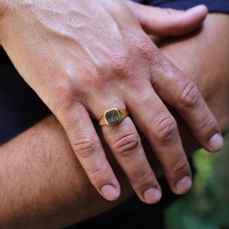 Hawk's Eye Signet Ring | Gold Vermeil and Sterling Silver - Etsy