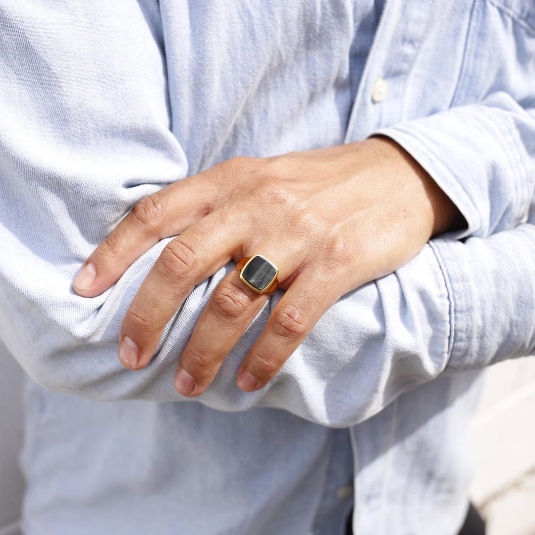 Hawk's Eye Ray Signet Ring | Gold Vermeil and Sterling Silver - Etsy