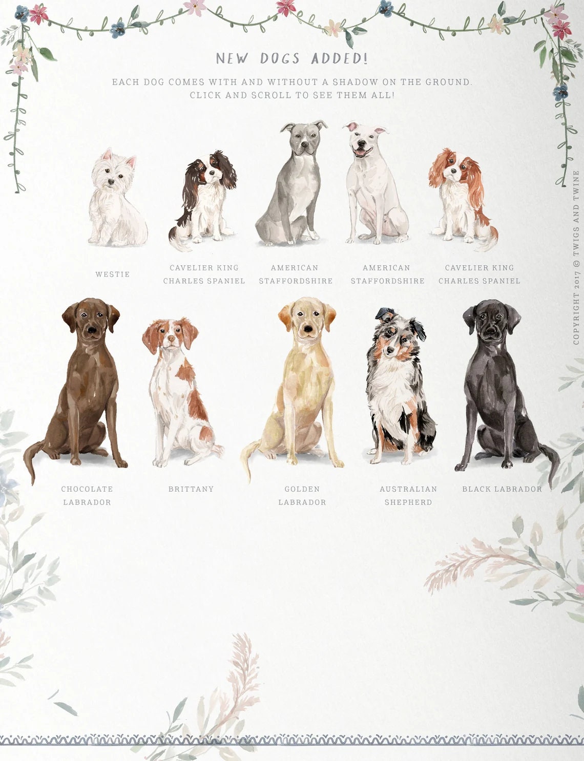 Personalised Pet Folder, Dog Documents Folder, Doggie Vet Papers ...