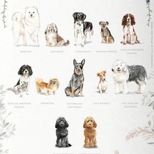 Personalised Pet Folder, Dog Documents Folder, Doggie Vet Papers ...