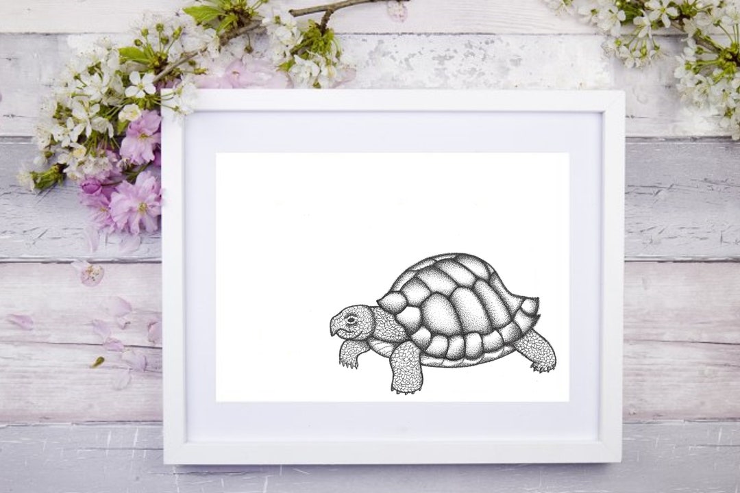Tortoise Illustration A4 or A5 Unframed Dotwork Perfect Gift for ...