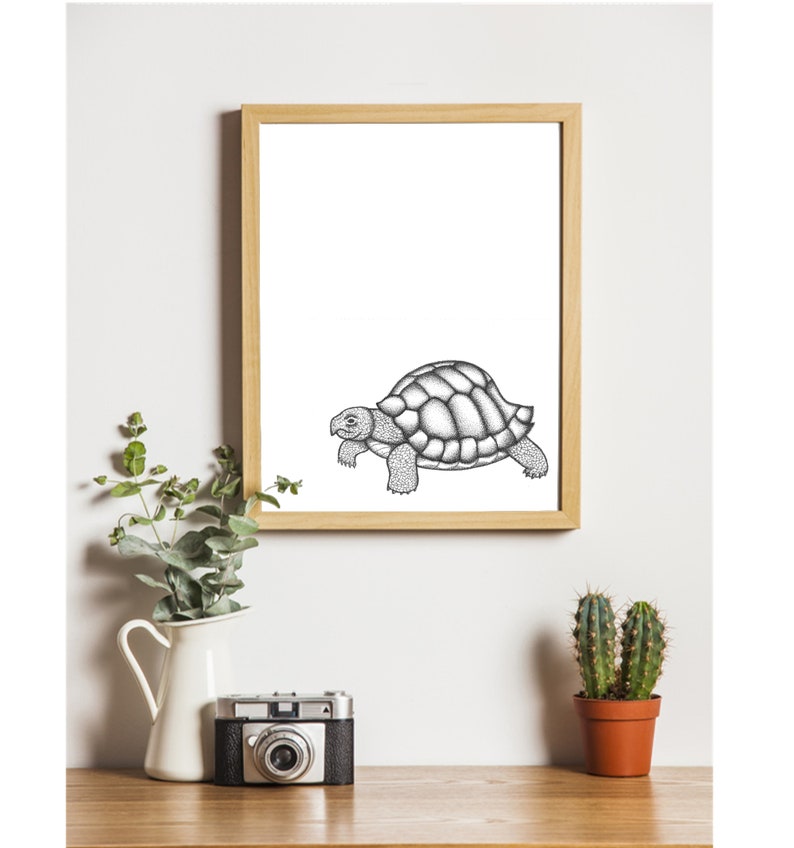 Tortoise Illustration A4 or A5 Unframed Dotwork Perfect Gift for ...
