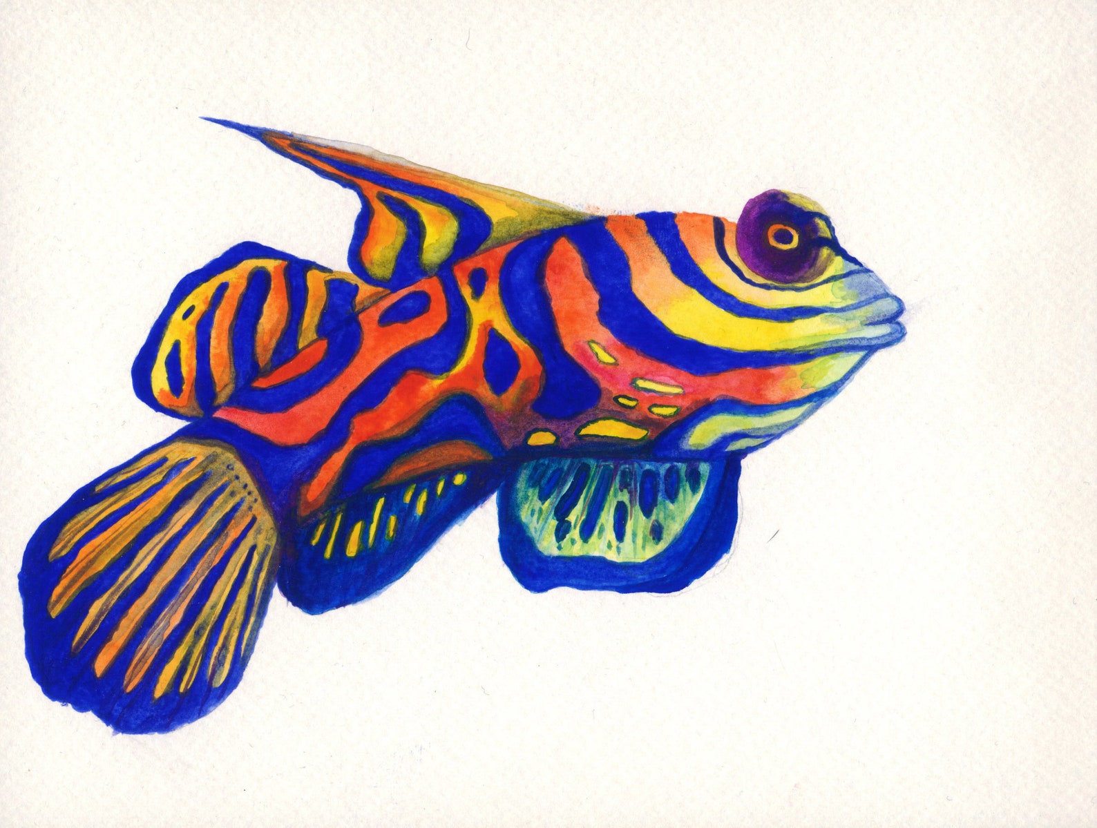 Mandarin Fish Painting Original Art Tropical Sea Life | Etsy