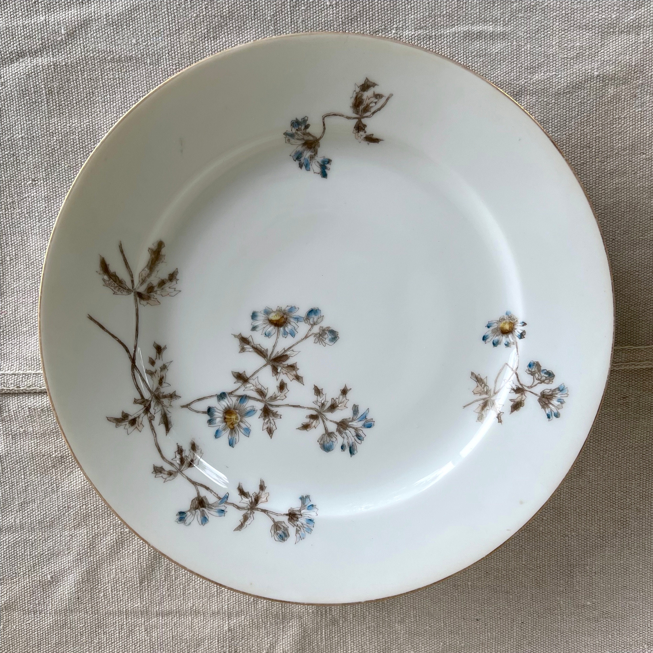 Charles Field Haviland Limoges Blue and Brown Floral Dinner Plates ...