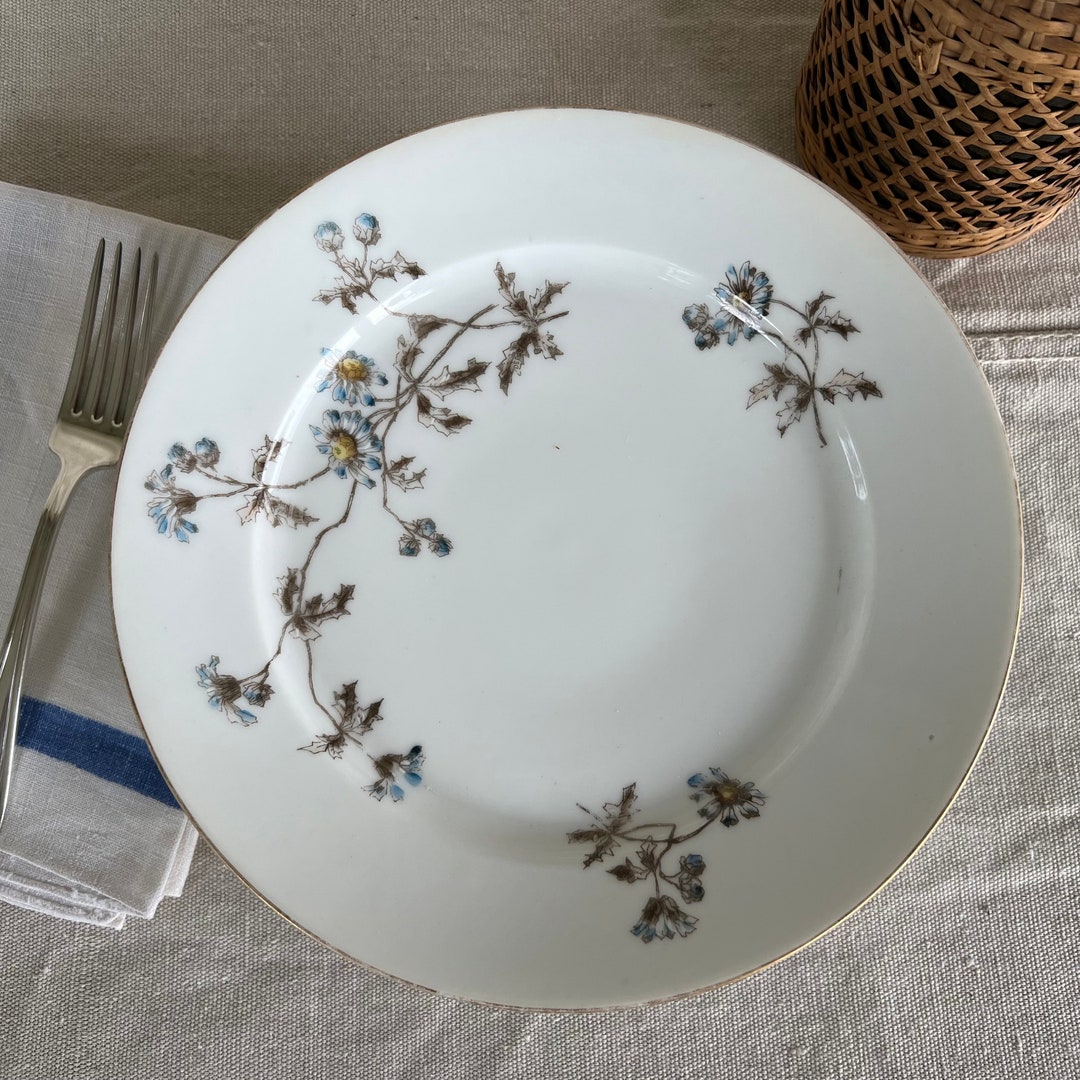 Charles Field Haviland Limoges Blue and Brown Floral Dinner Plates ...
