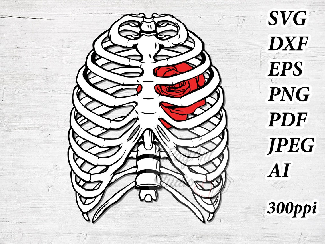Skeleton Rib cage SVG Skeleton SVG Ribs SVG Bones svg Thorax | Etsy