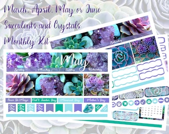 June Planner Kit | Etsy