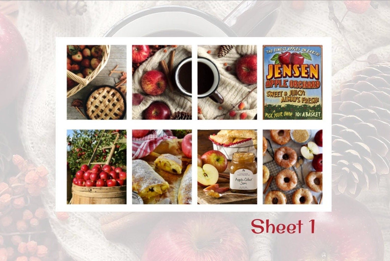 Apple Picking Time Photography Weekly Kit Erin Condren - Etsy