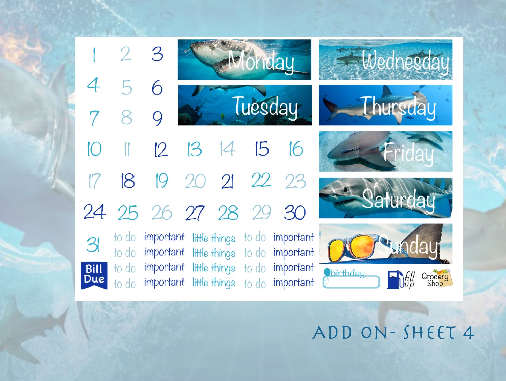 EC Petite Planner Shark Week Weekly Kit | Etsy