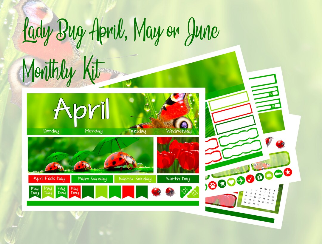 NEW Lucky Lady Bug April, May, or June Monthly Kit Erin Condren and ...