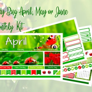 NEW Lucky Lady Bug April, May, or June Monthly Kit Erin Condren and ...