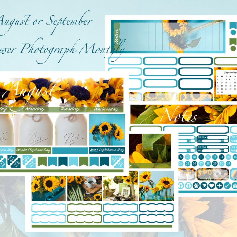 Erin Condren Sticker - Etsy