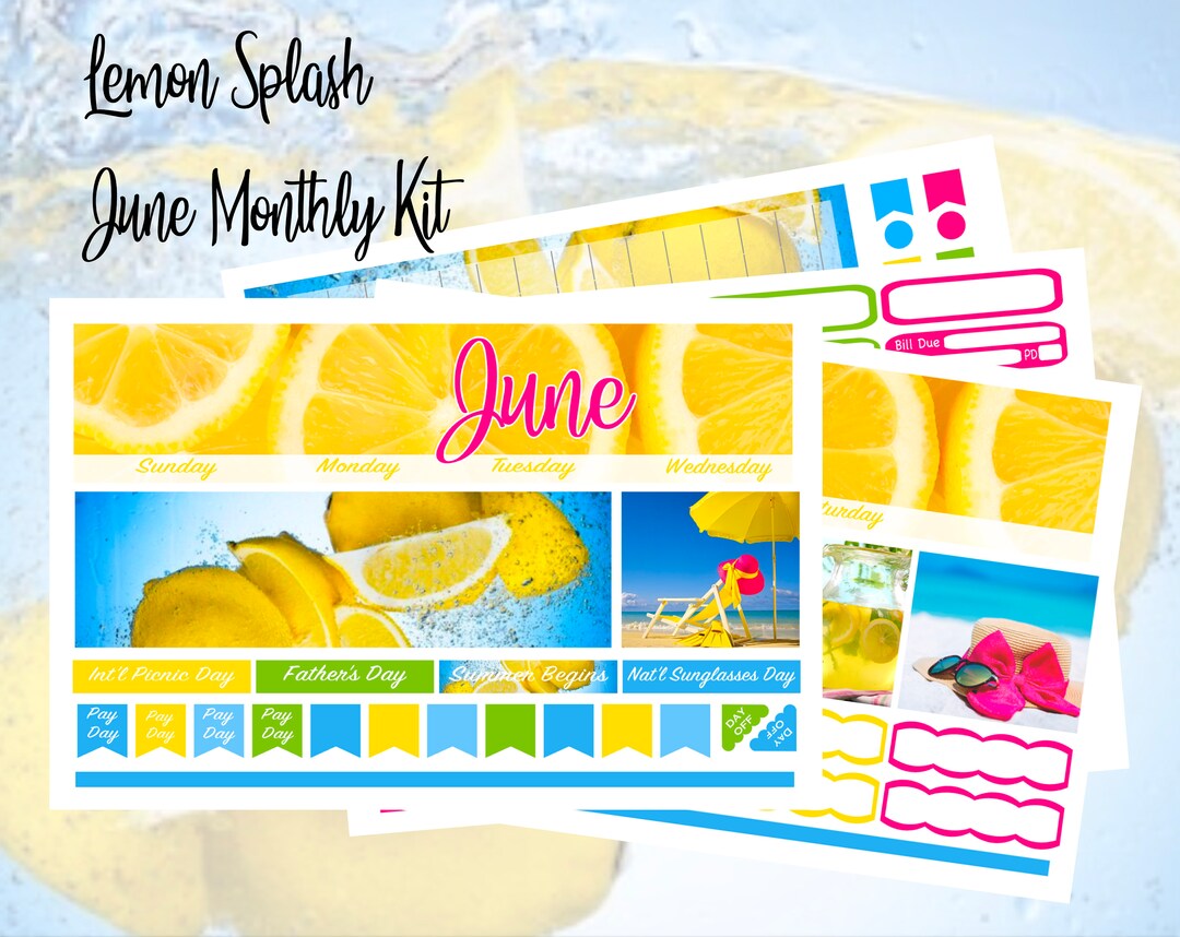 2026 Lemon Splash June, July or August Photography Monthly Kit Erin ...