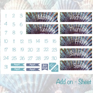 Seashell EC Petite Planner Weekly Kit - Etsy