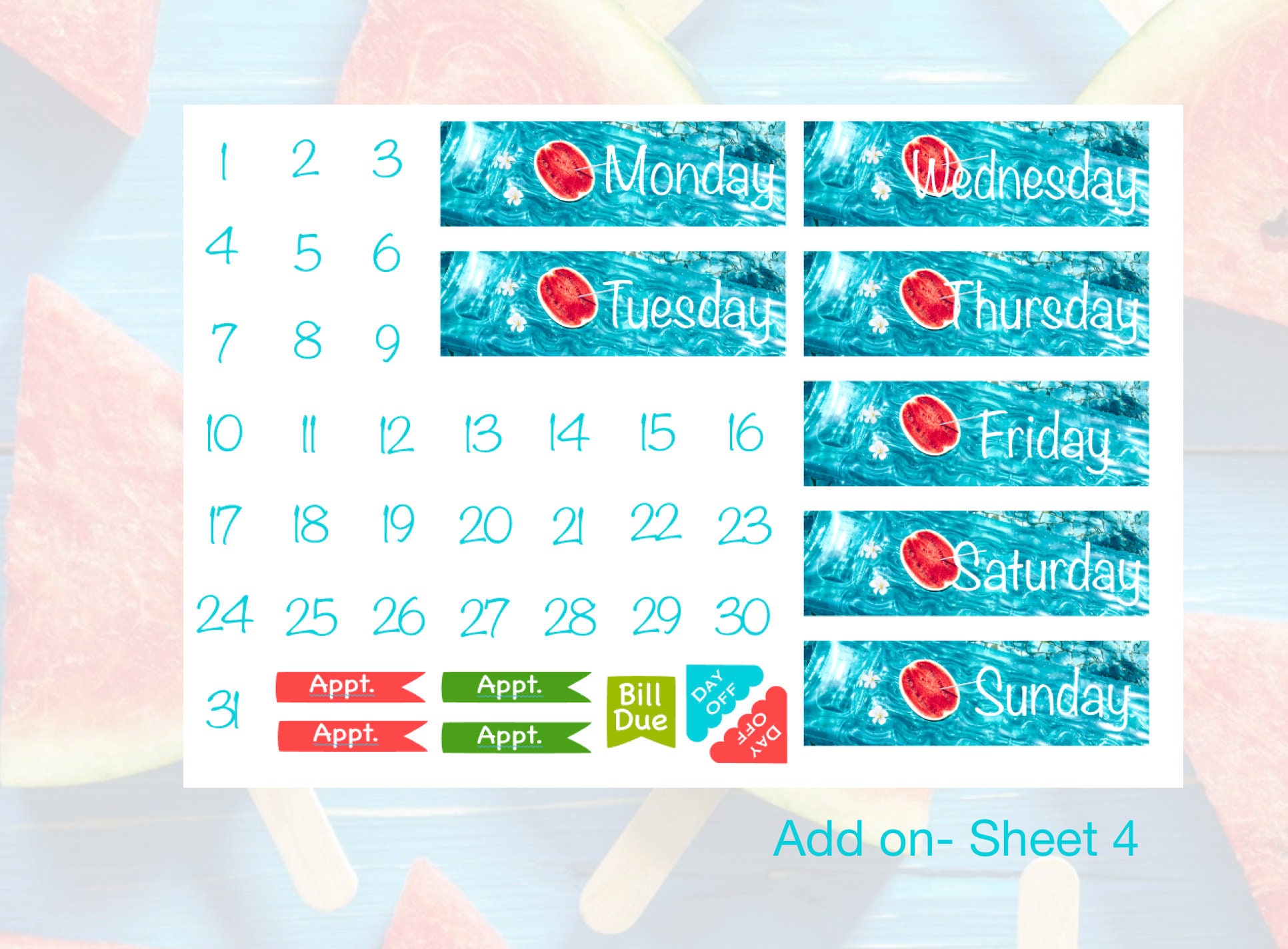 EC Petite Planner Watermelon Splash Weekly Kit - Etsy