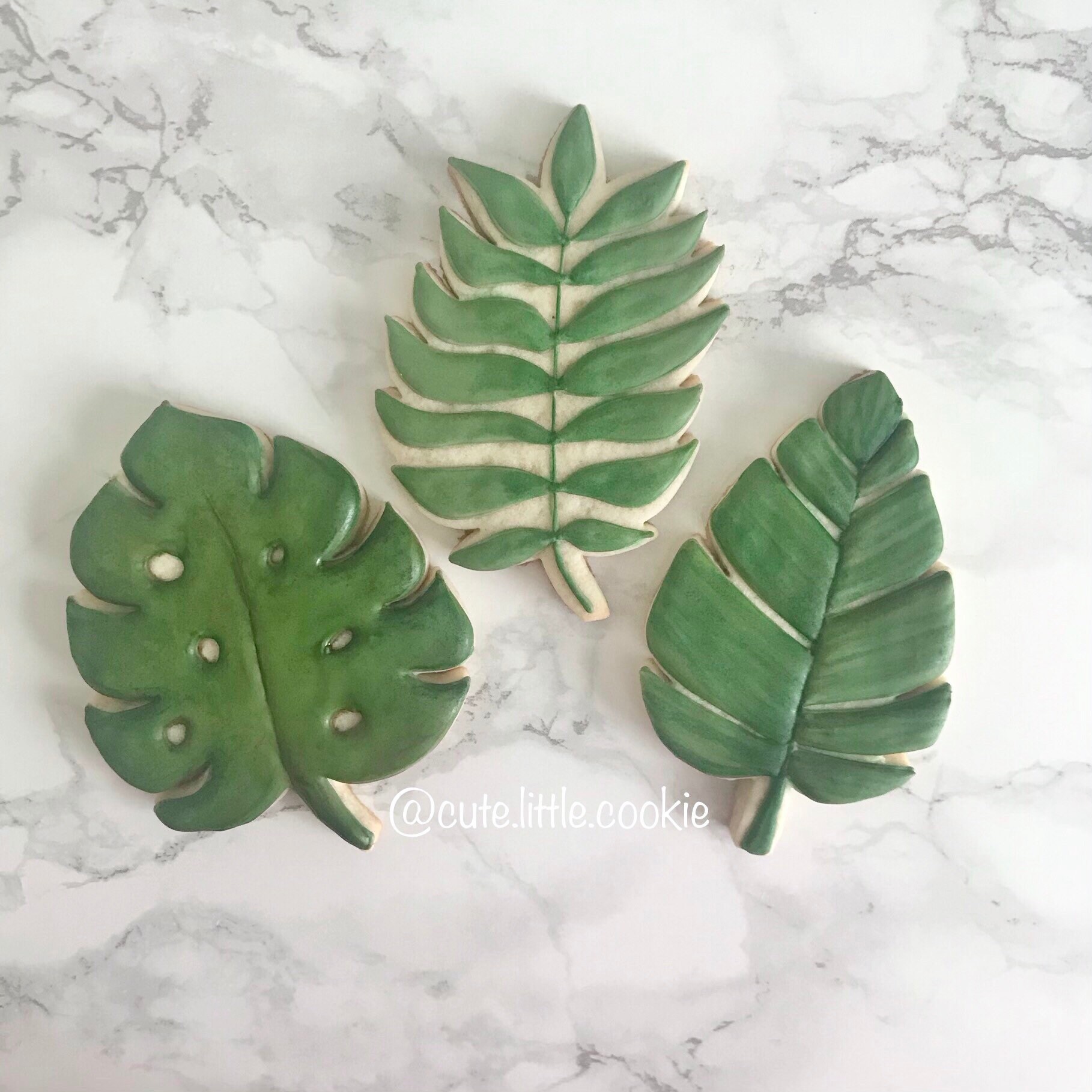 Tropical Leaf Cookie Cutters Set ~ Fondant Cutter ~ Biscuit Cutter ...