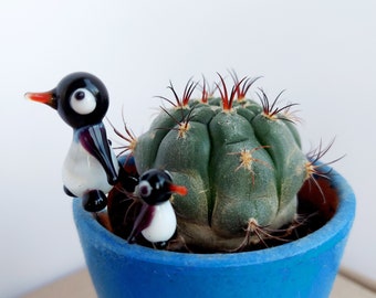 Penguin Plant Pot - Etsy