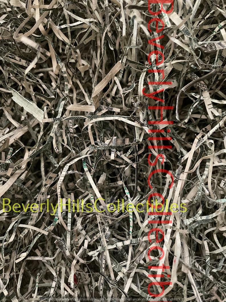 Shredded Cash Money U.S. Currency 200 Authentic Federal - Etsy