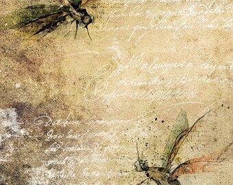 Rice Paper Dragonfly - Etsy