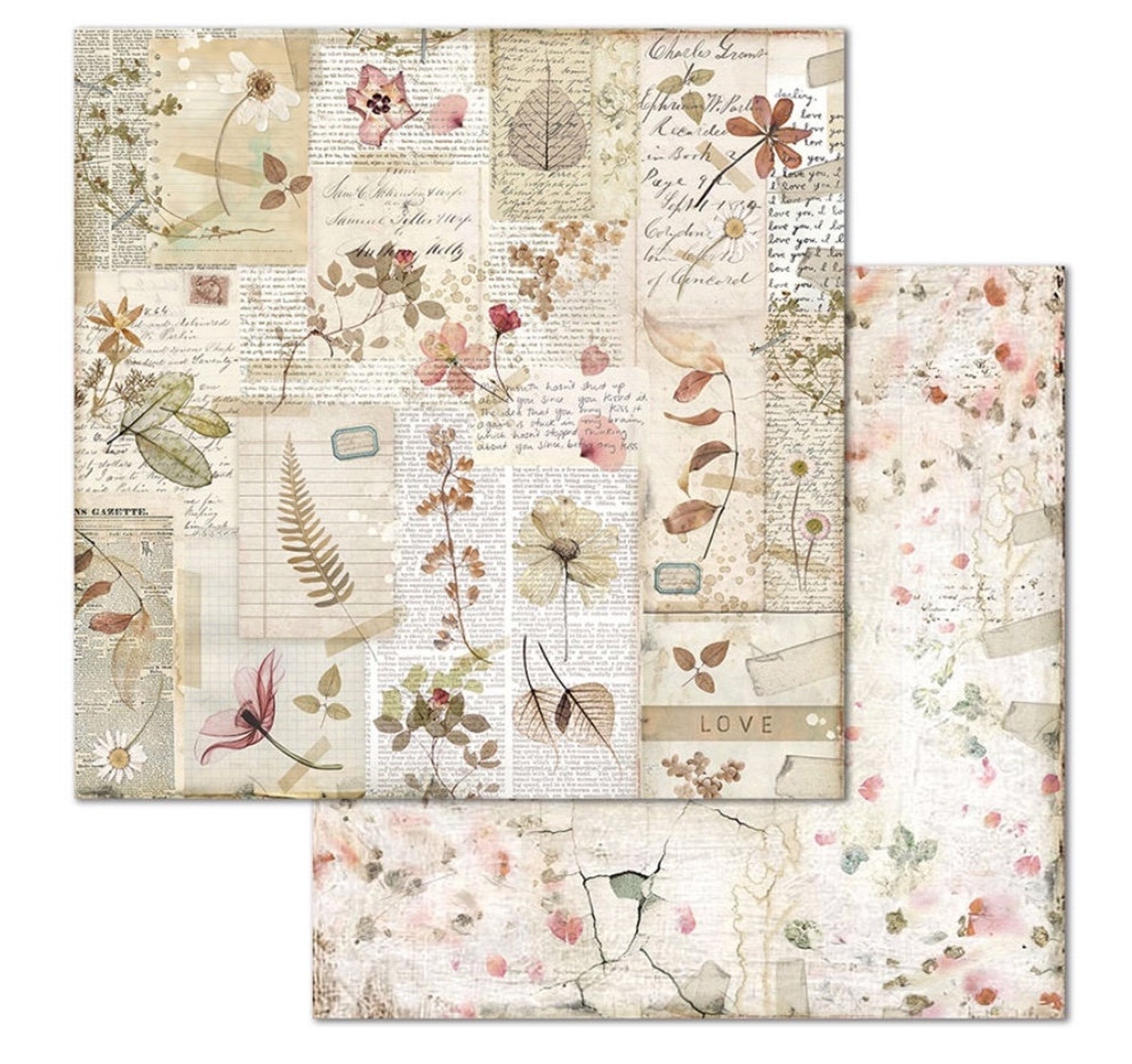 Imagine Stamperia Scrapbook Paper Pad 8x8 Stamperia - Etsy