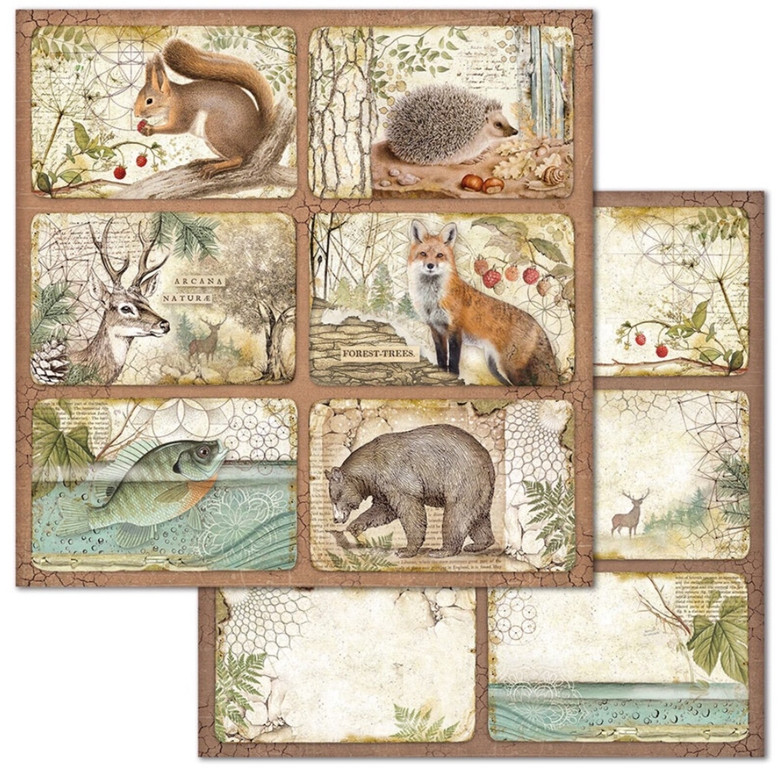 Stamperia Forest Scrapbook Paper Pad 8x8 Cardstock | Etsy