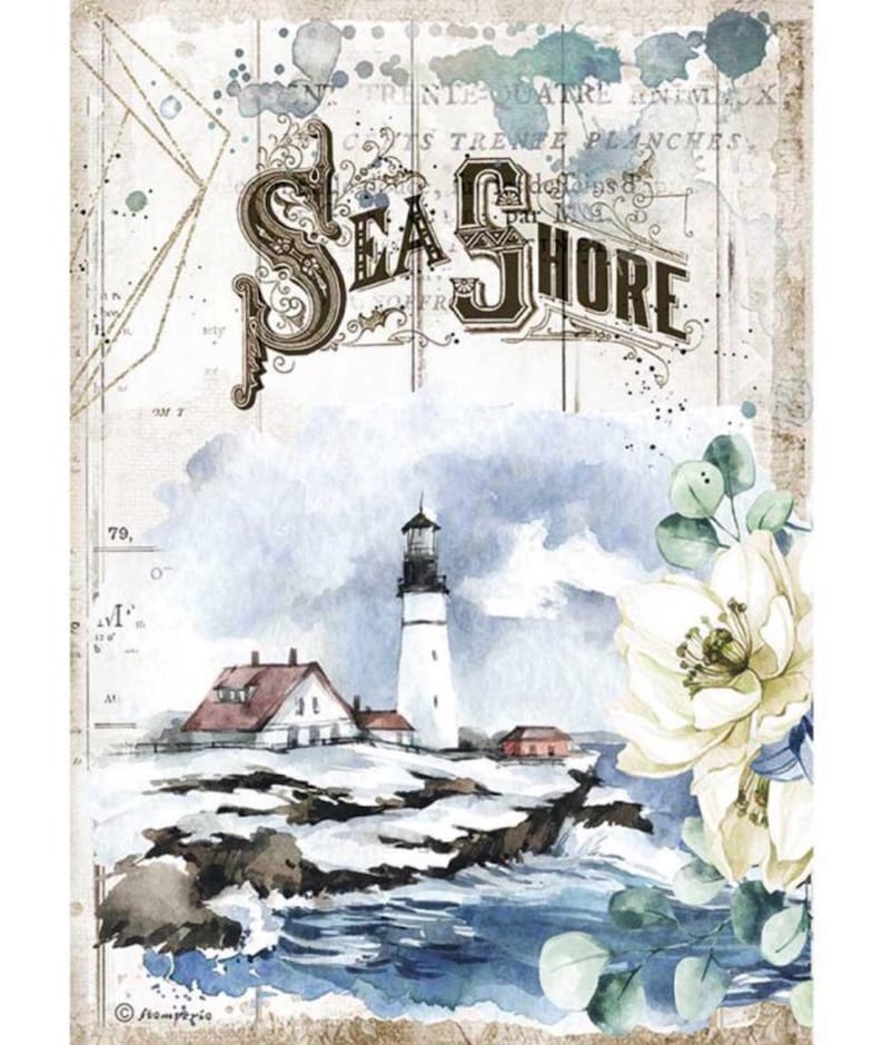 Stamperia Romantic Sea Dream Sea Shore Rice Paper A4 Rice - Etsy