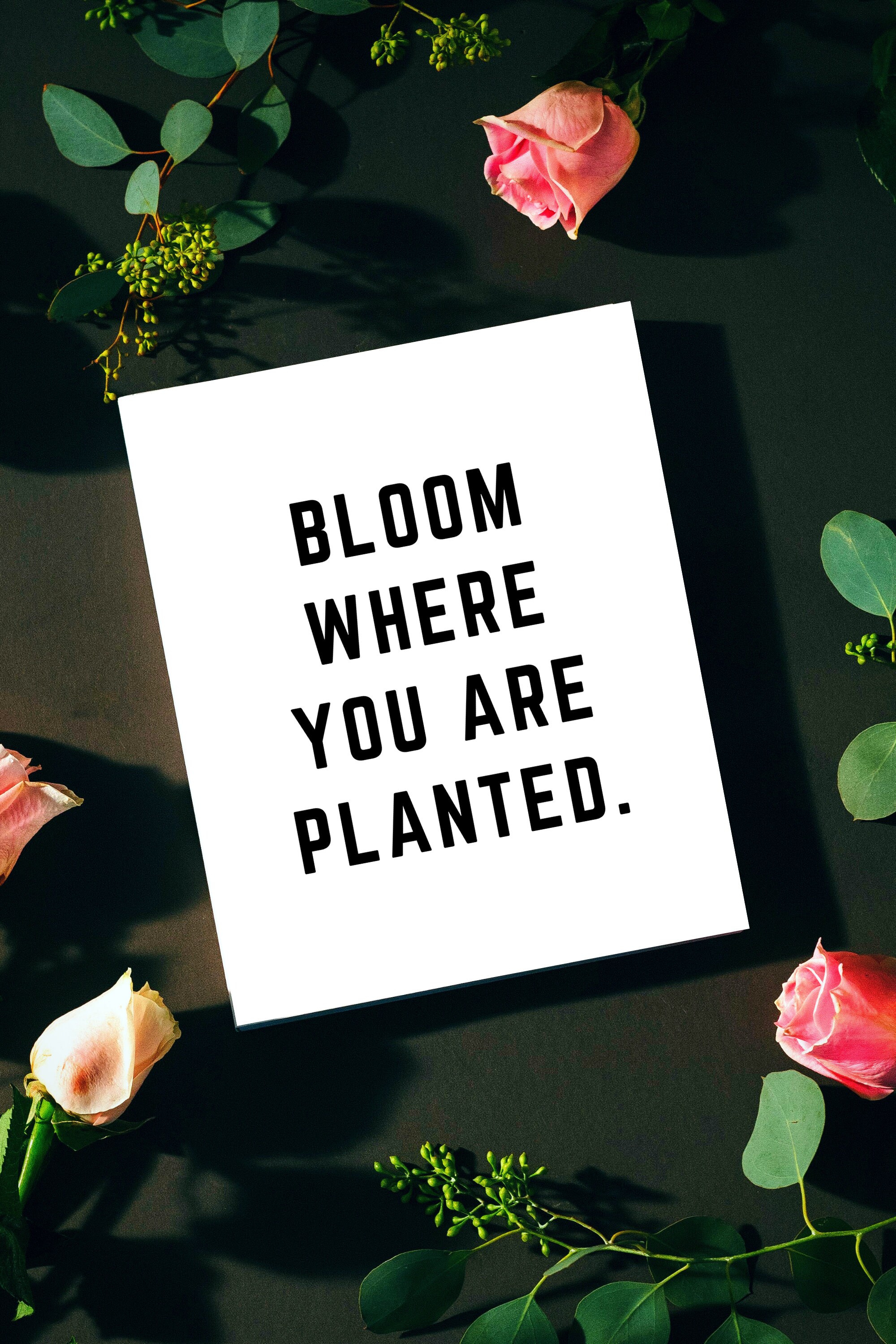 Bloom Where You Are Planted Printable Instant Digital - Etsy
