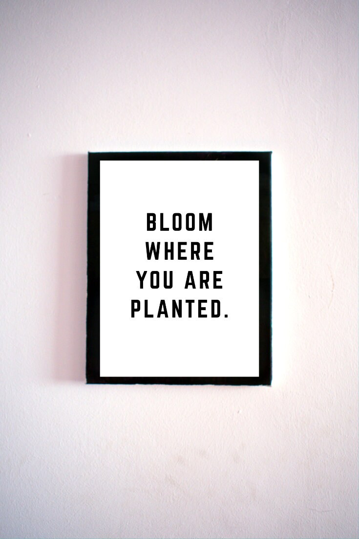 Bloom Where You Are Planted Printable Digital Download | Etsy