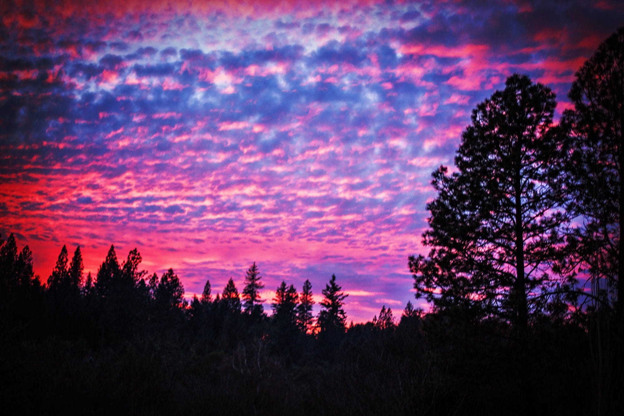 Sunset Digital Print, Nature Wall Art, Home Decor Photo Downloads ...