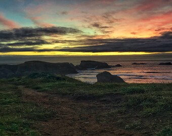 Butterfly Digital Print Nature Wall Art Home Decor Photo - Etsy