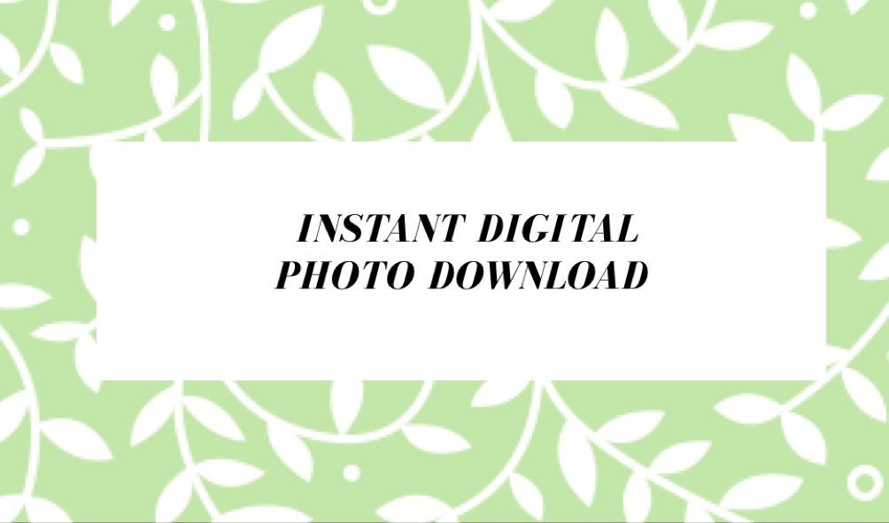 Sunrise Digital Print, Nature Wall Art, Home Decor Photo Downloads ...
