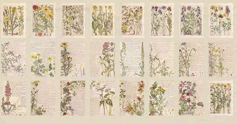 Butterflies Large Size Medieval Plant Old Book Page Vintage Paper for ...