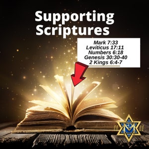 Printable Magic in the Bible: Spiritual + Ritual Basics PDF Download - Etsy