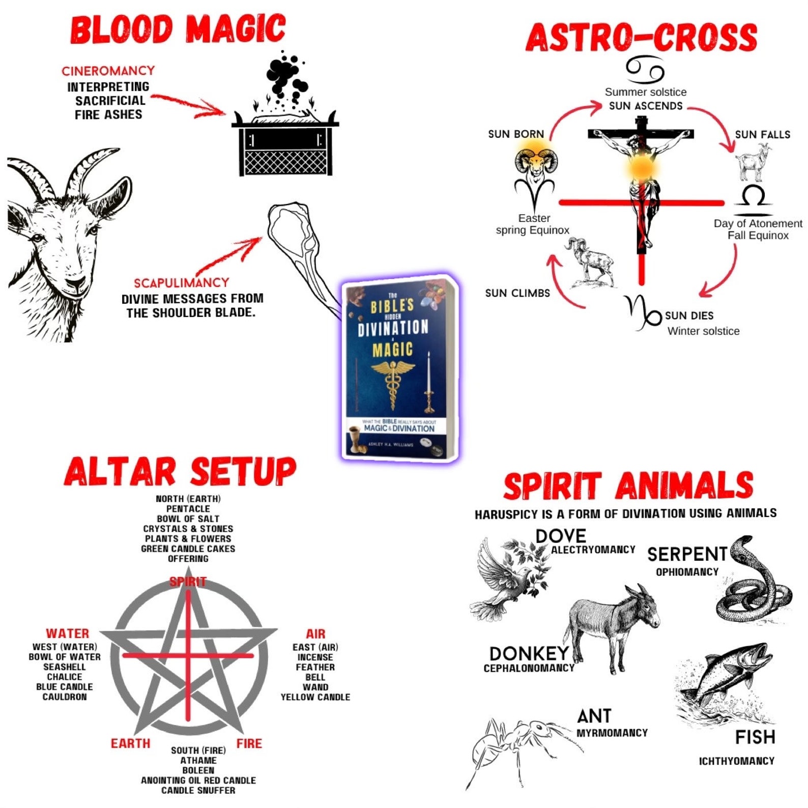 Bible Divination & Magic: Ancient Rituals Spells Book - Etsy