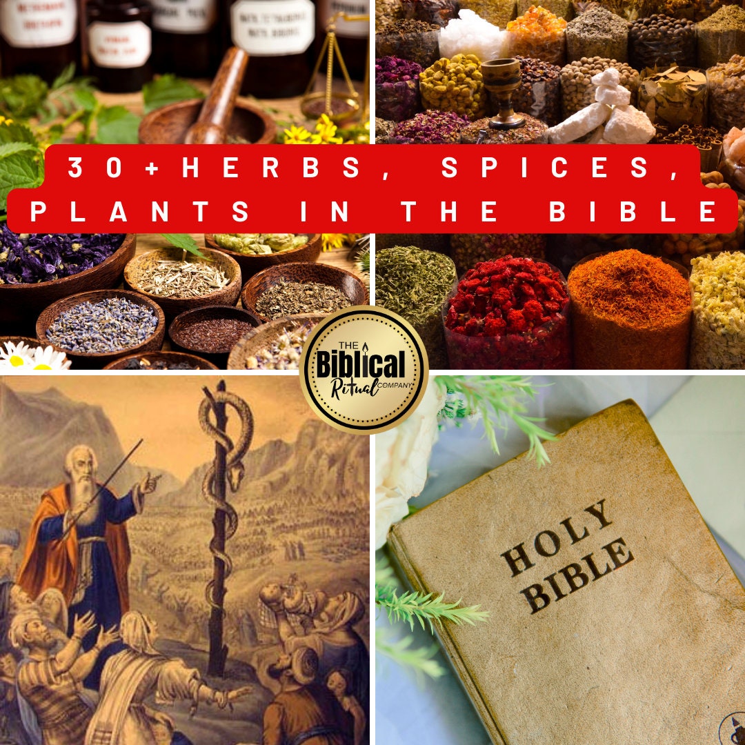 Printable Magic Herbs & Oils in the Bible, Magic in the Bible PDF ...