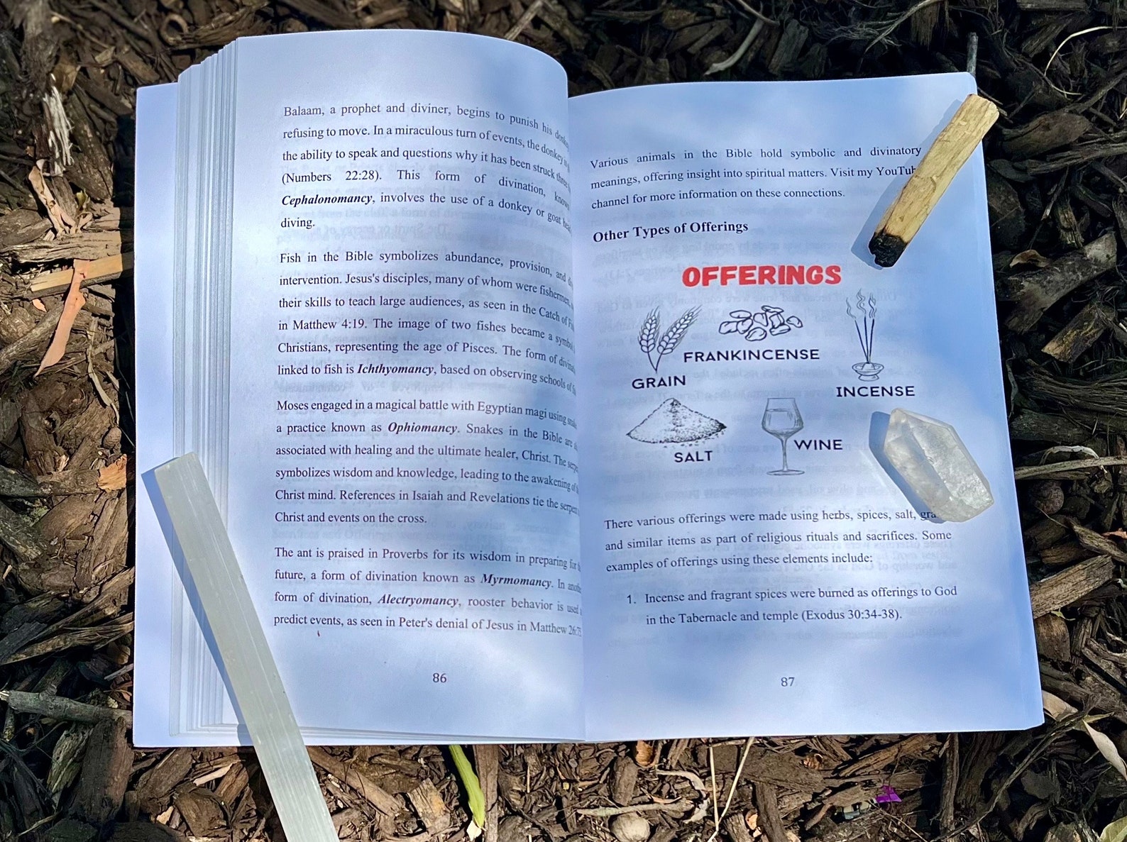 Bible Divination & Magic: Ancient Rituals Spells Book - Etsy