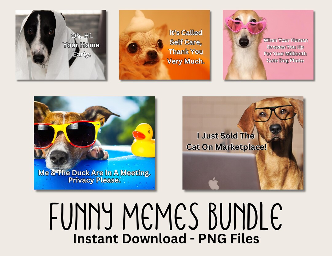 Funny Dog Memes, PNG, Silly Animal Pictures, Image Files for Cricut ...