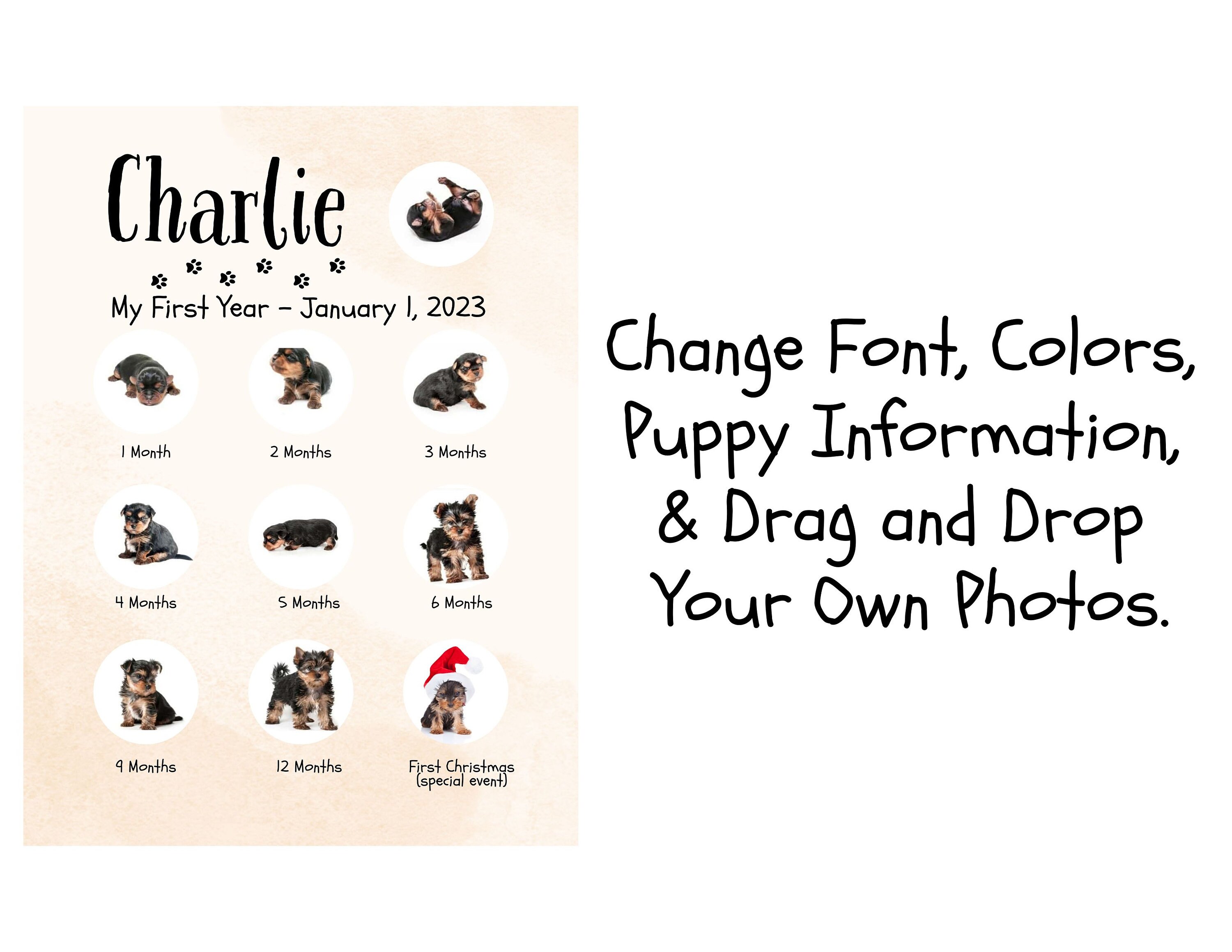 Milestone Marker Poster, Birthday Sign, Template, Printable Puppy's ...