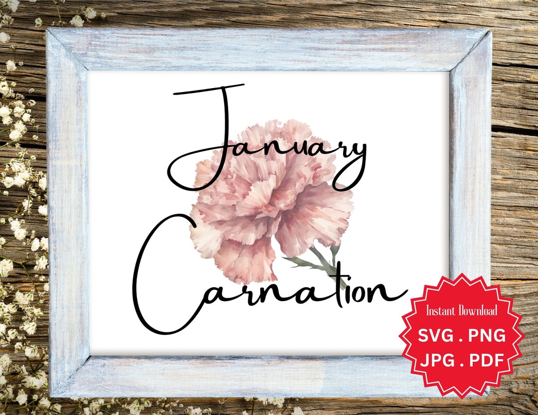 Carnation Svg, January Birth Flower, Gift for Her, Minimal Design ...