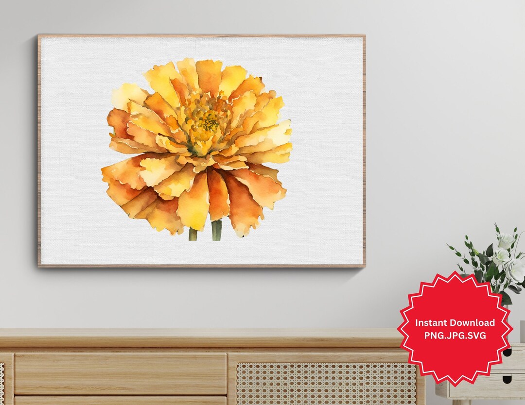 Marigold Svg, Png, Flower Clipart, Cricut Files, Tshirts Mugs ...