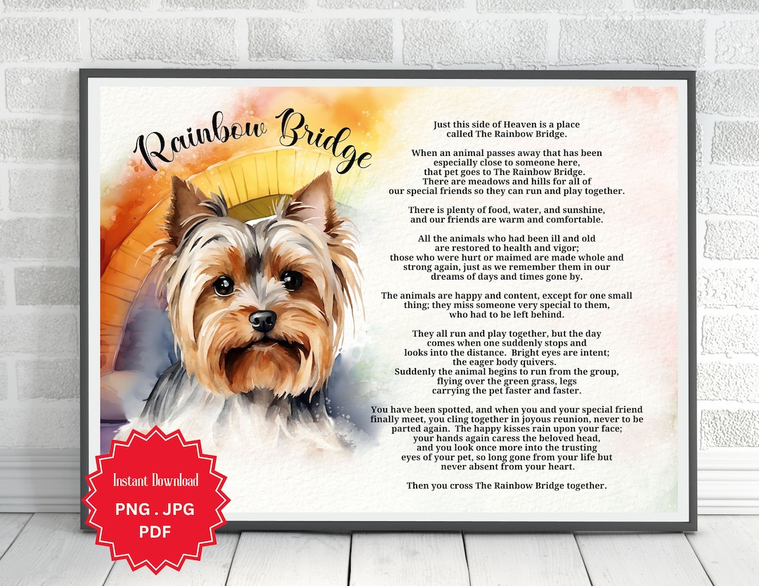 Yorkshire Terrier Rainbow Bridge Poem: Pet Loss Sympathy Gift (digital ...