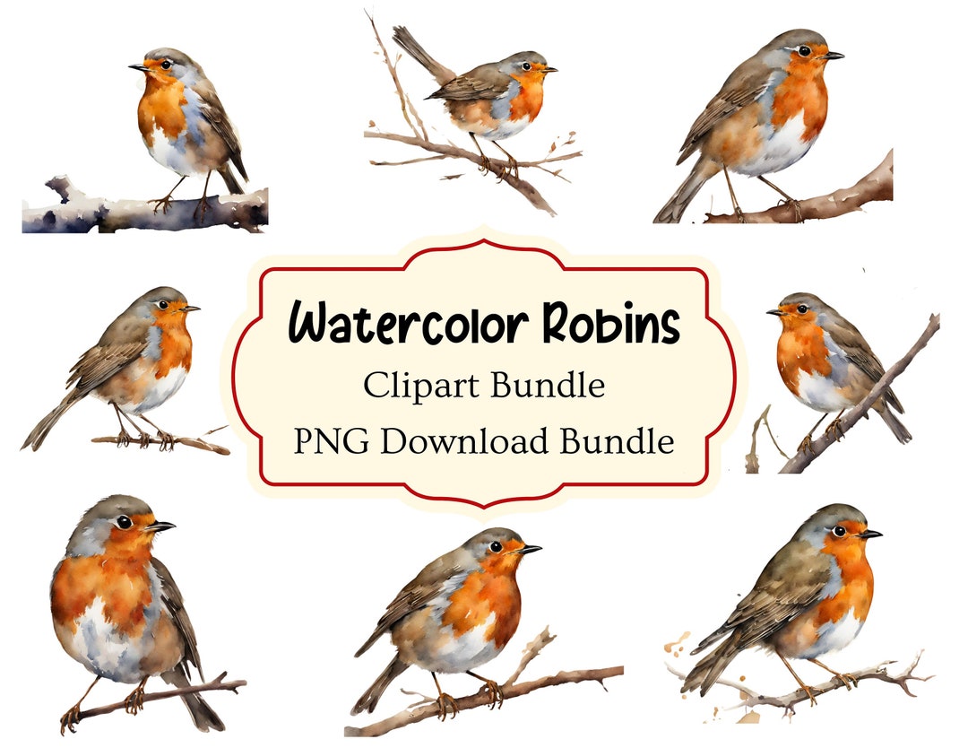 Robin PNG Bird Clipart Bundle Nature Watercolor Papercraft - Etsy