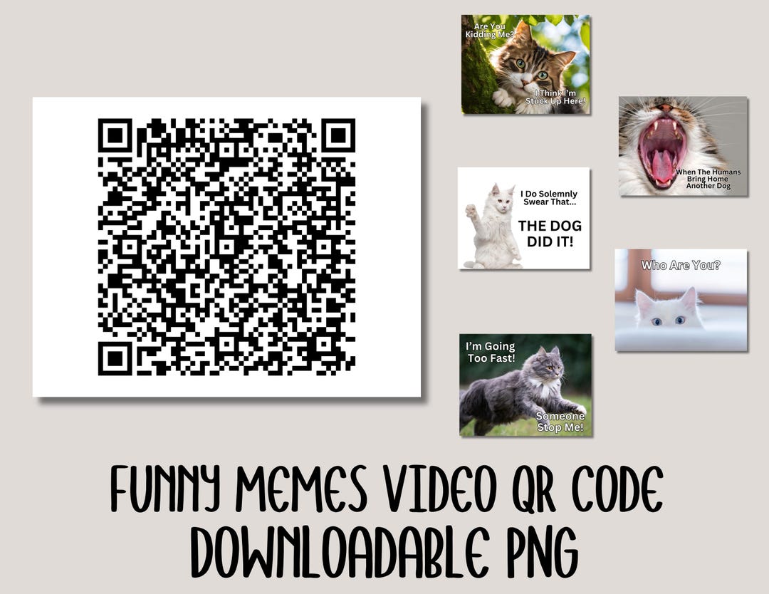 Funny QR Code Cat, Memes, Digital, MP4 Video, Image Files for T Shirts ...