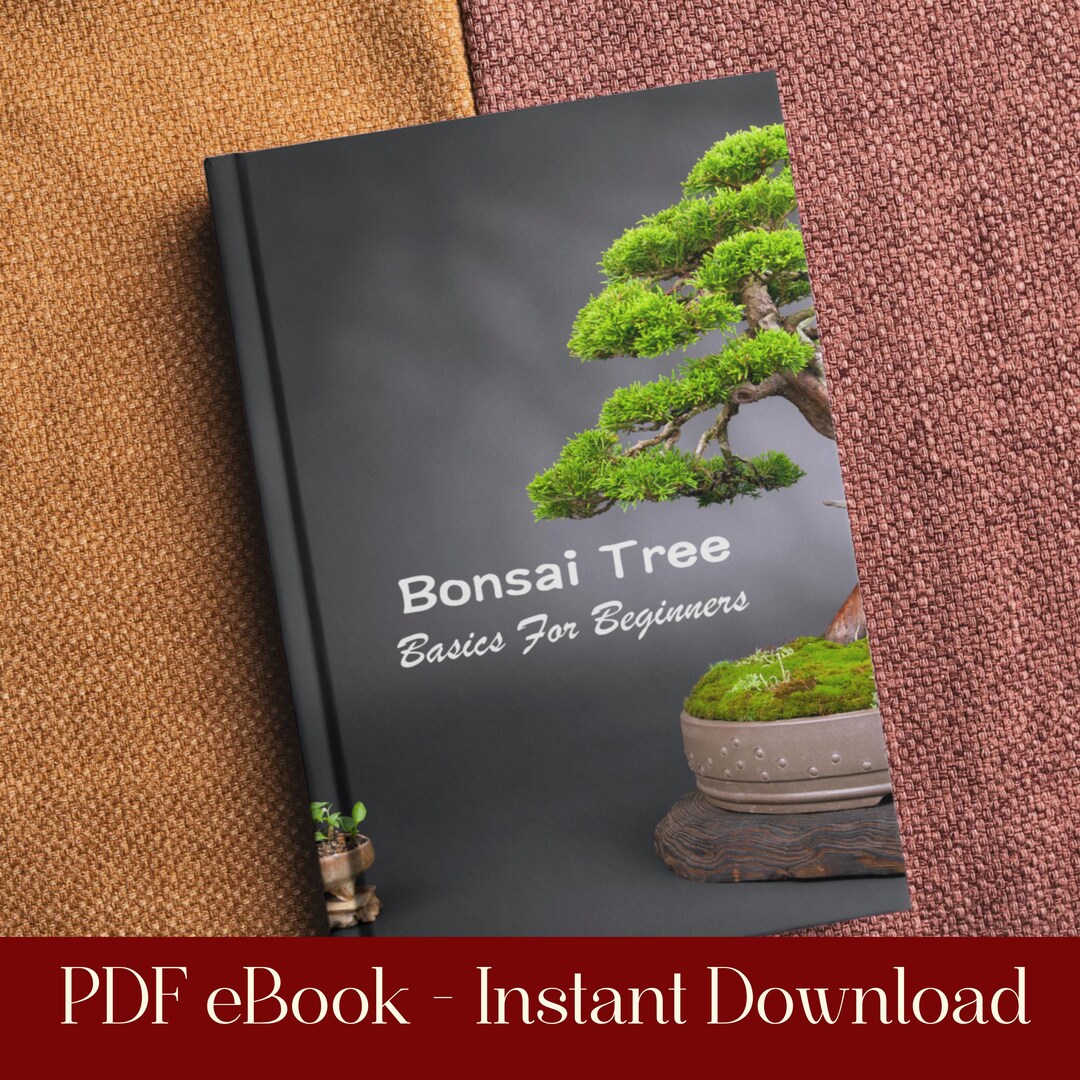 Bonsai Tree Basics: Beginner's How-to Guide (PDF Ebook Download) - Etsy