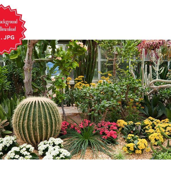 Zoom Background - Etsy