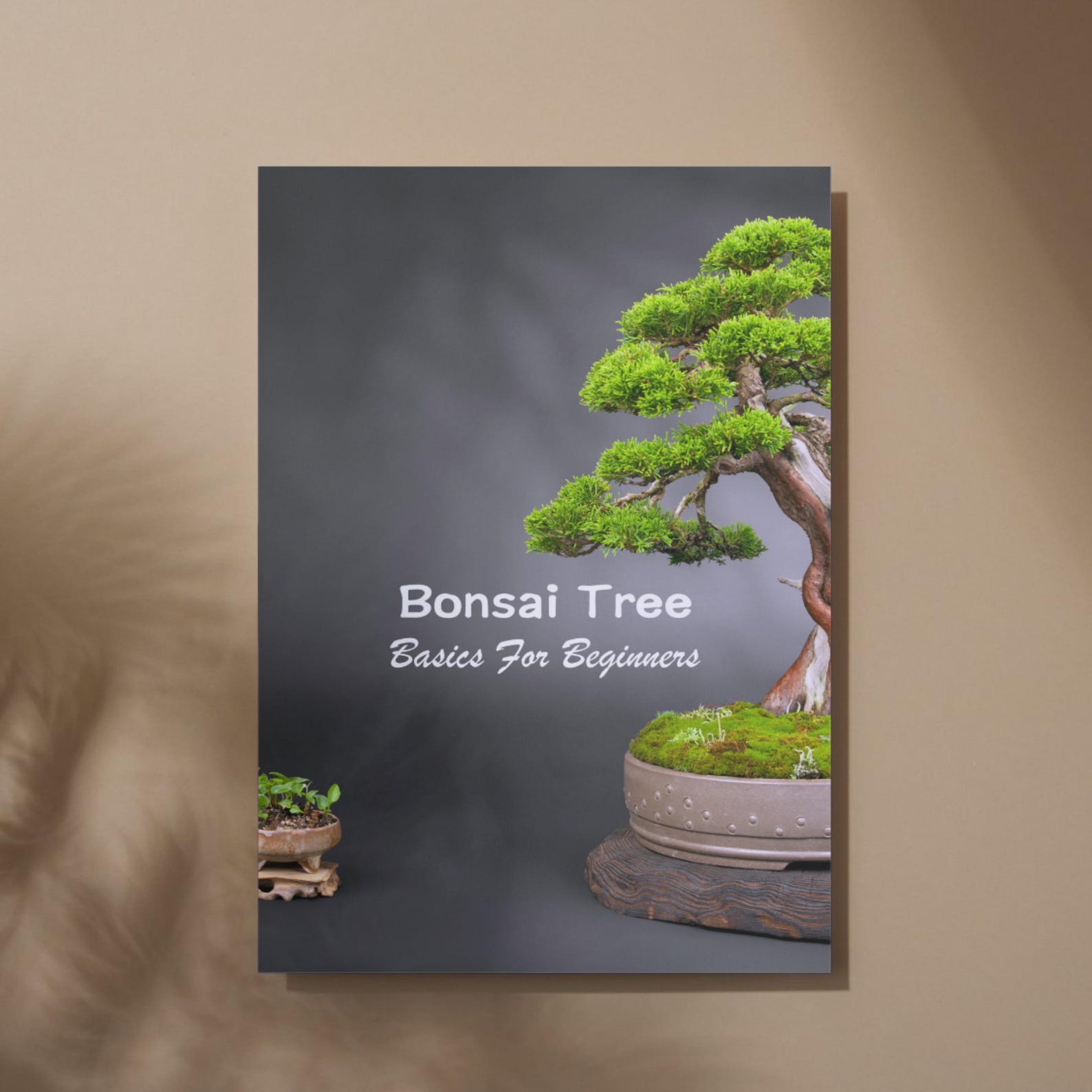 Bonsai Tree Basics: Beginner's How-to Guide (PDF Ebook Download) - Etsy